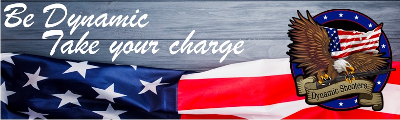 Amazon.com: Dynamic Shooters