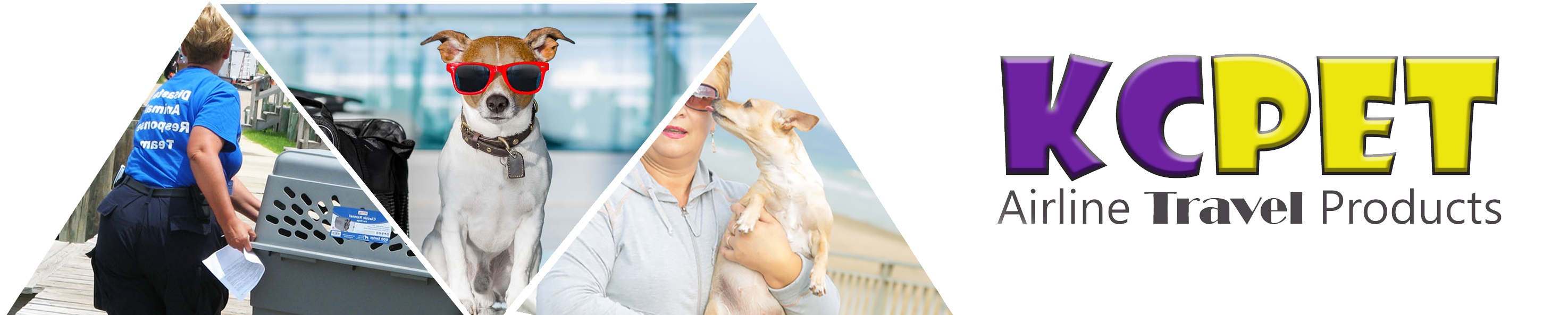 Amazon.com: DryFur®