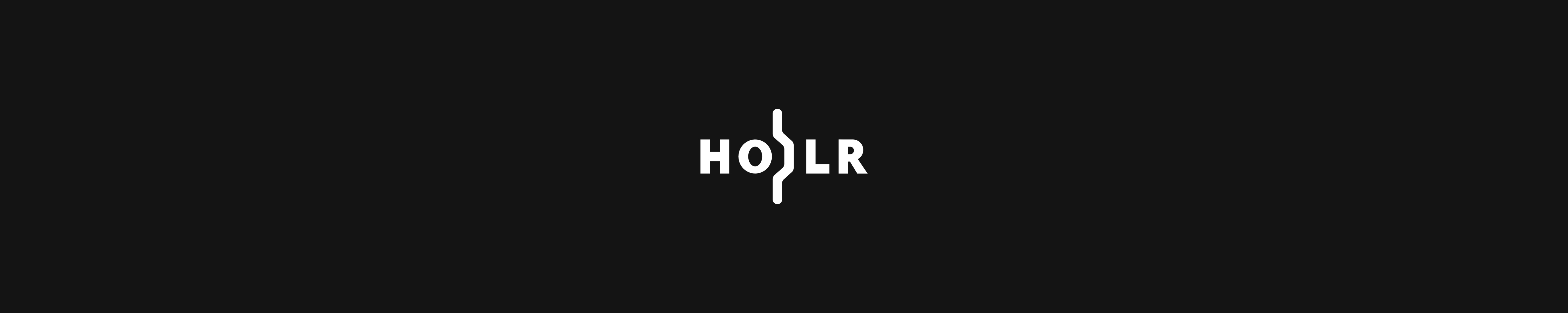 Amazon.com: Hodlr Swiss