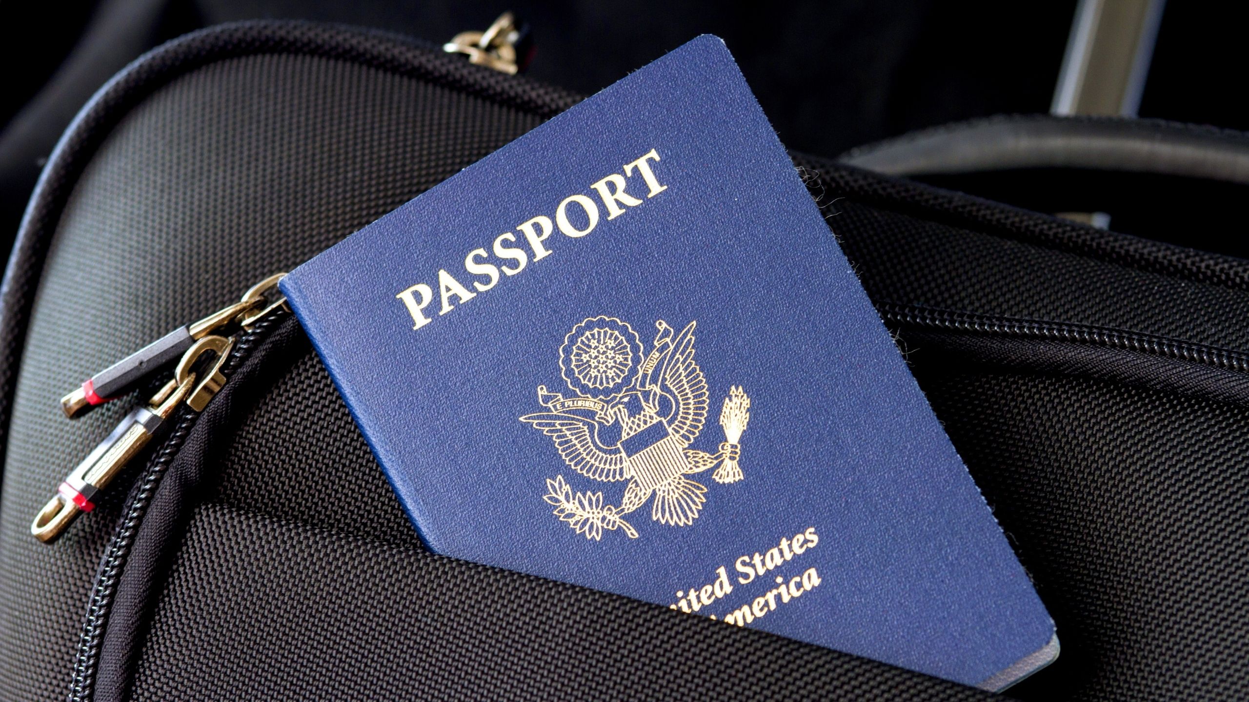 Amazon.com.mx: OT'ILE