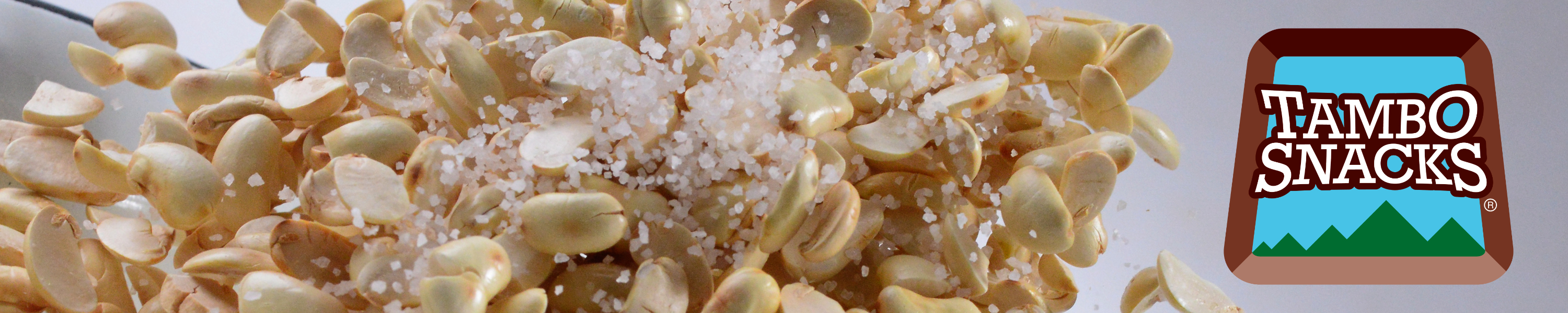 Amazon.ca: Tambo Snacks