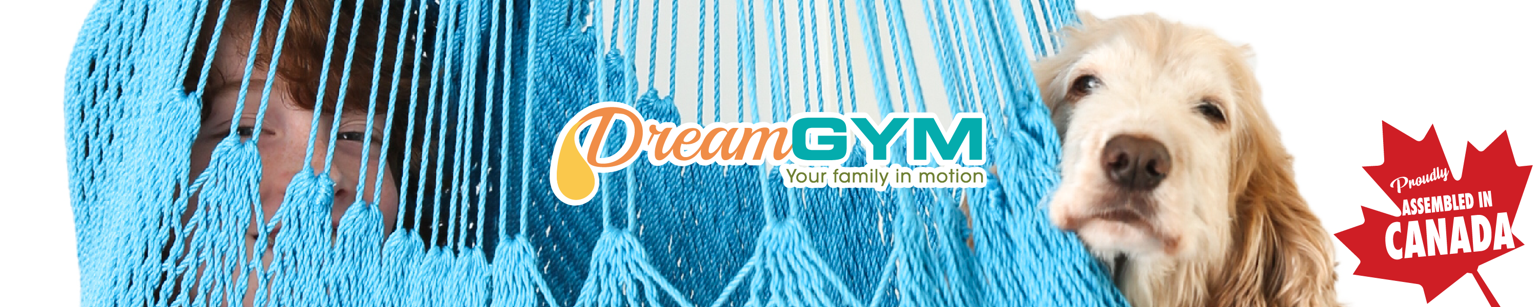 Amazon.ca: DreamGYM Therapy Products: Therapy Net Swings
