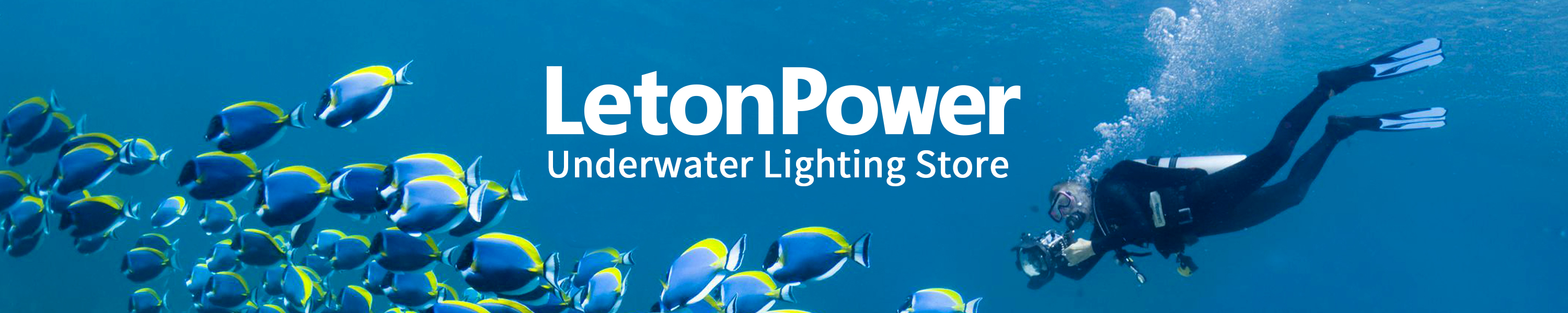 Amazon.ca: LetonPower: All Products