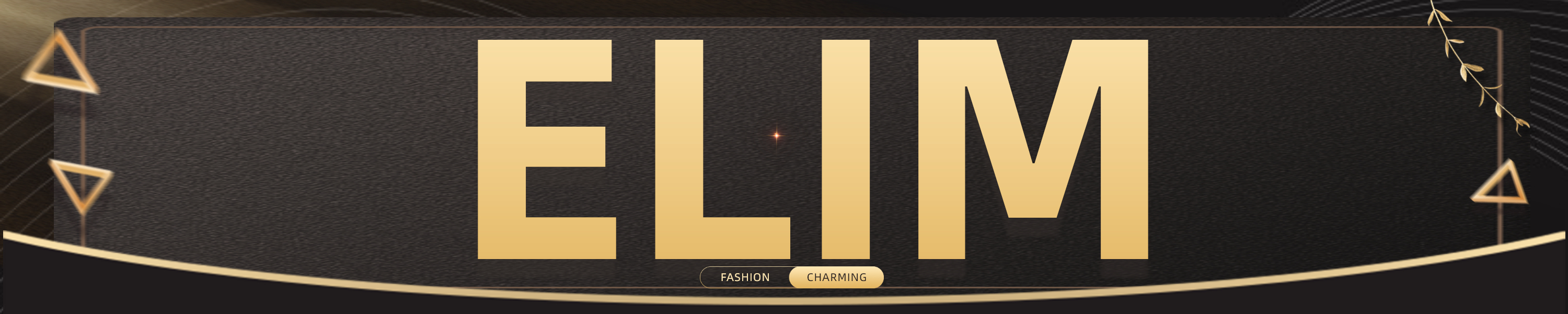 Amazon.com: ELIM: Colorful Wig