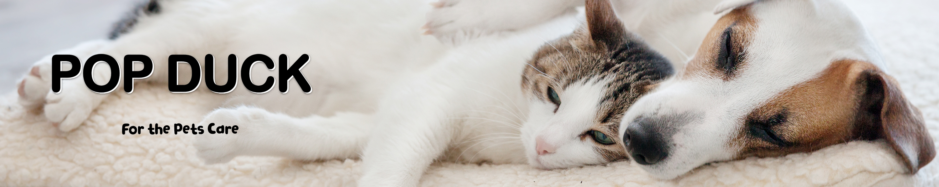 Amazon.com: POP DUCK