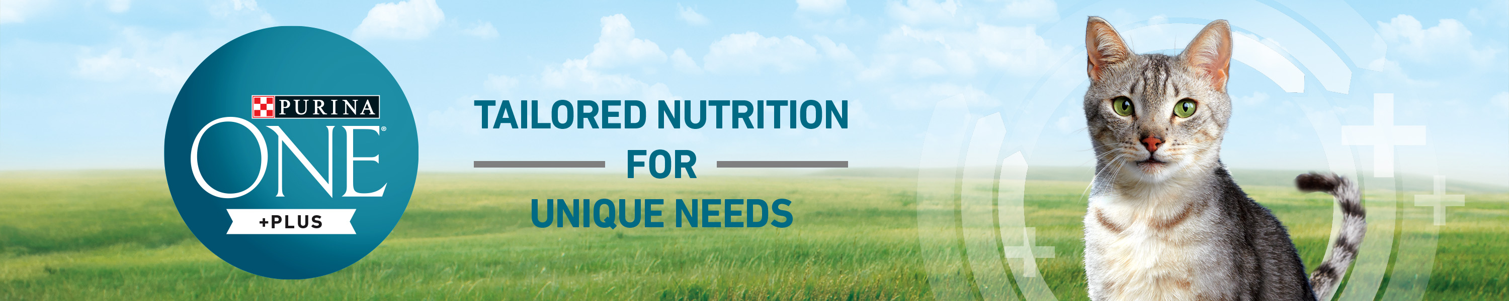 Amazon.com: Purina ONE: Cat Food