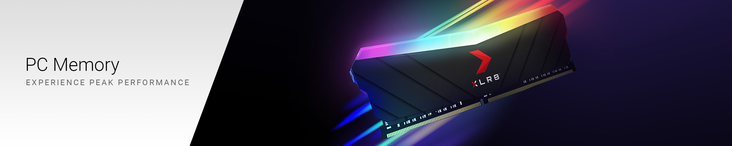 Amazon.com: PNY: Computer Memory
