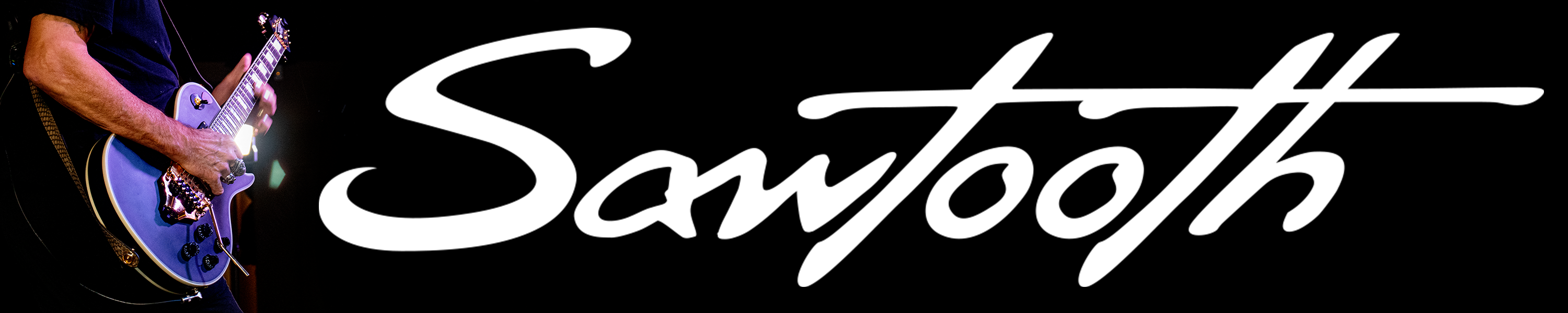 Amazon.com: Sawtooth Musical Instruments: Electric Guitars