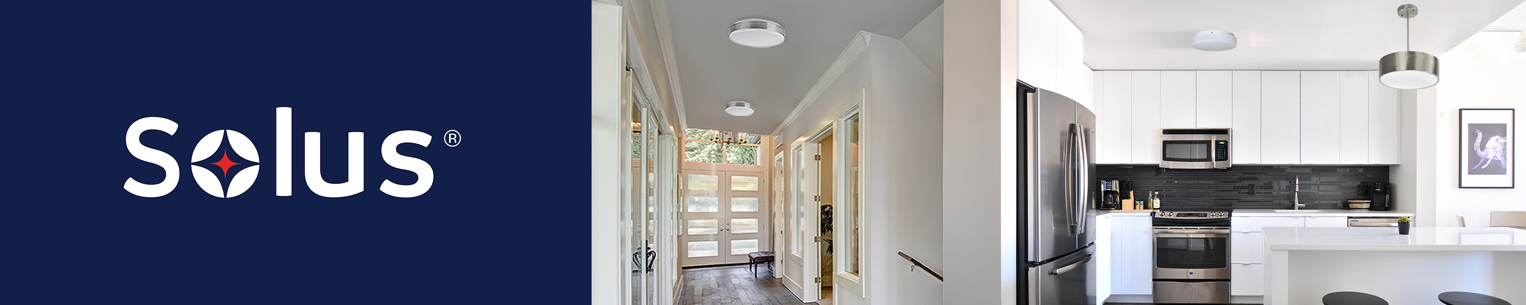 Amazon.com: Solus: Indoor Lighting Fixtures