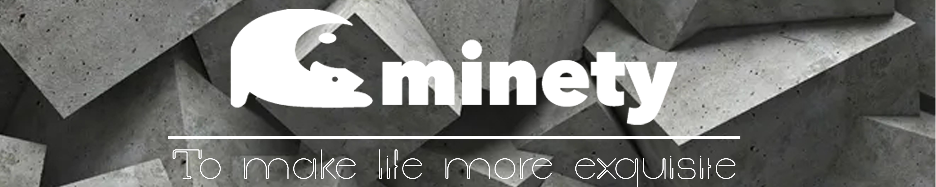 Amazon.com: minety