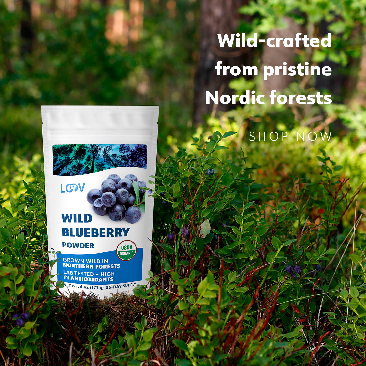 Amazon.com: LOOV: Home page