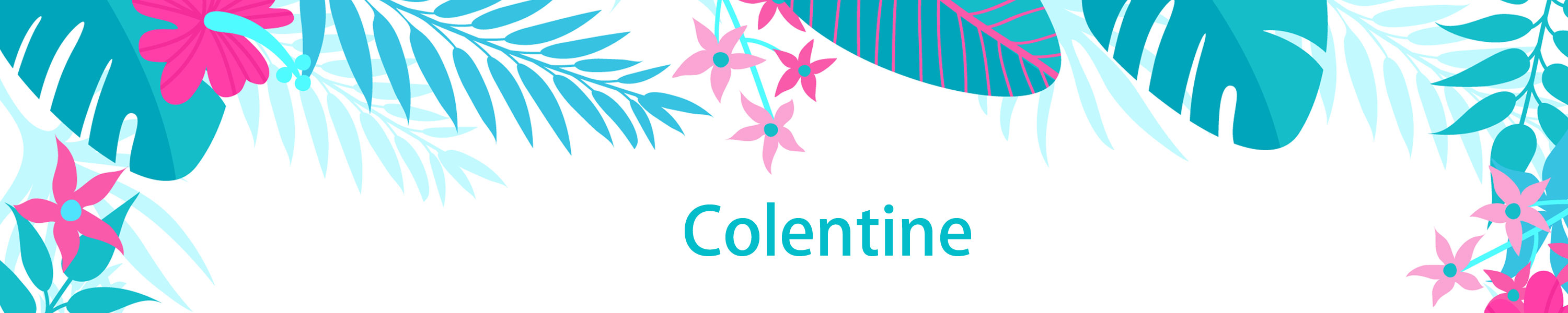 Amazon.com: Colentine