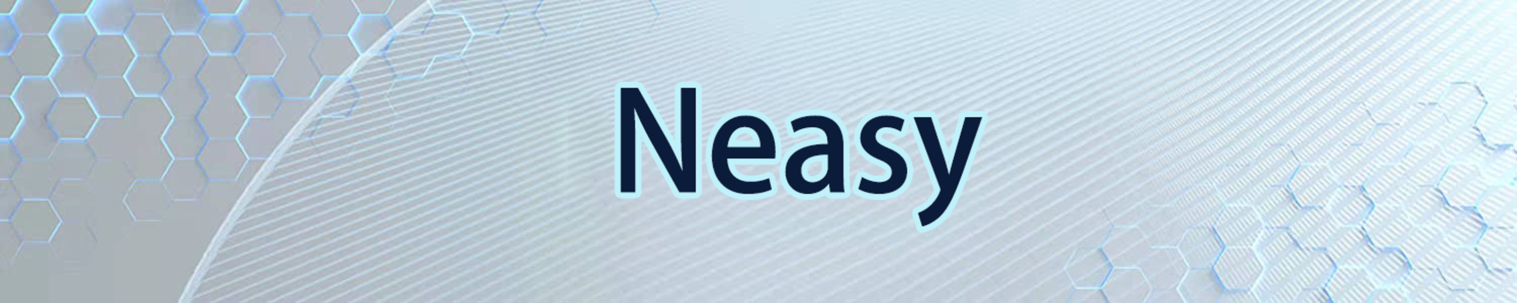 Amazon.com: Neasy: Aux Cord