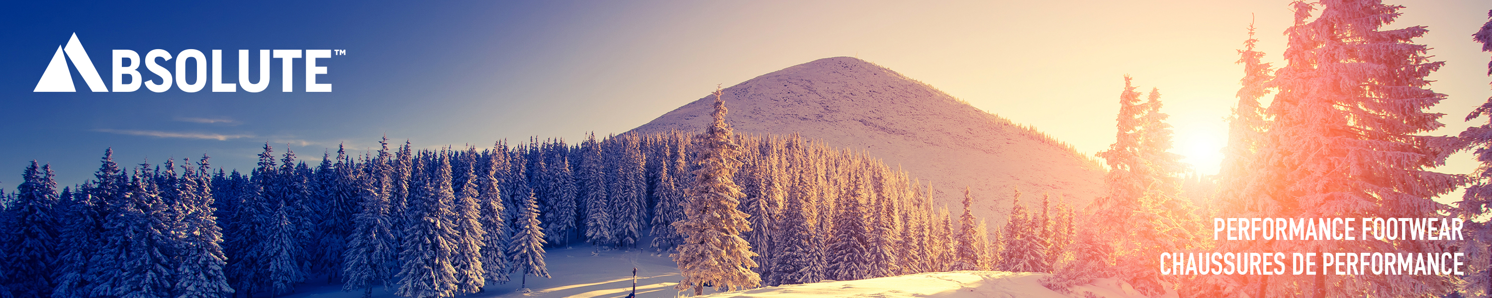 Amazon.com: Absolute Canada