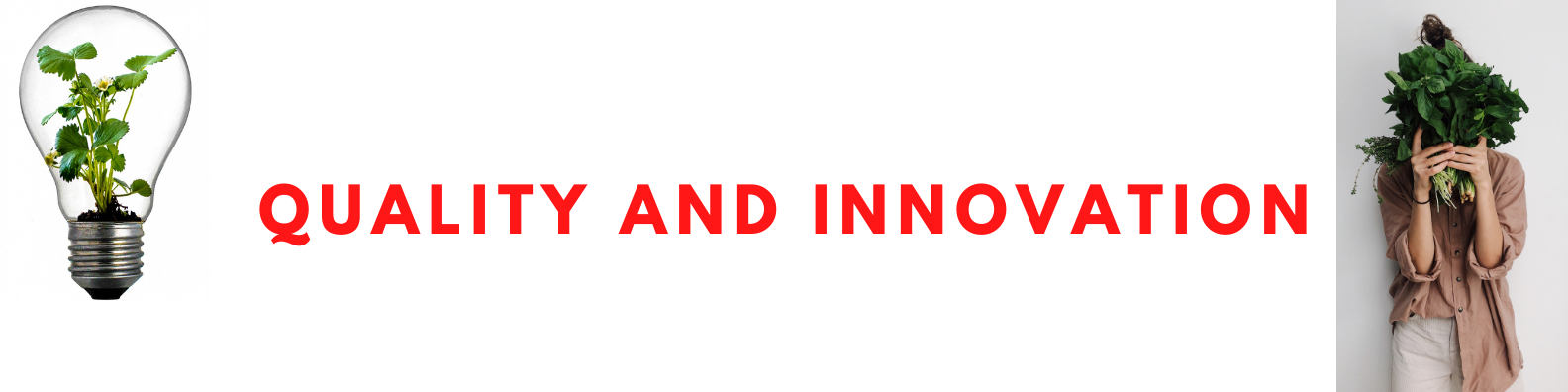 Amazon.com: A Passion for Innovation