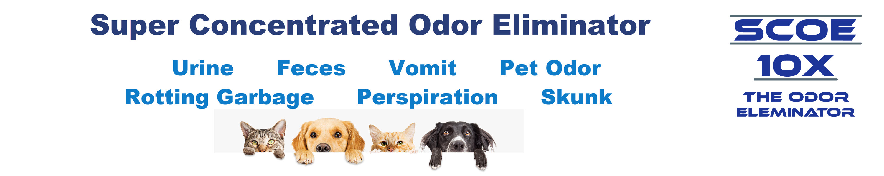 Amazon.com: SCOE 10X: Carpet Injection Kit