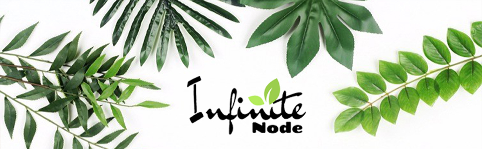 Amazon.com: Infinite Node
