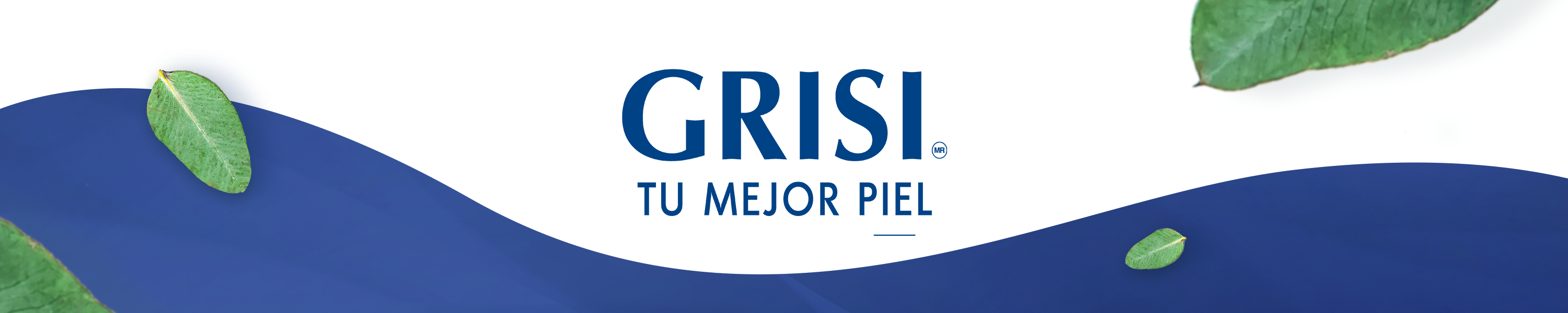 Amazon.com: Grisi: Grisi Neutro