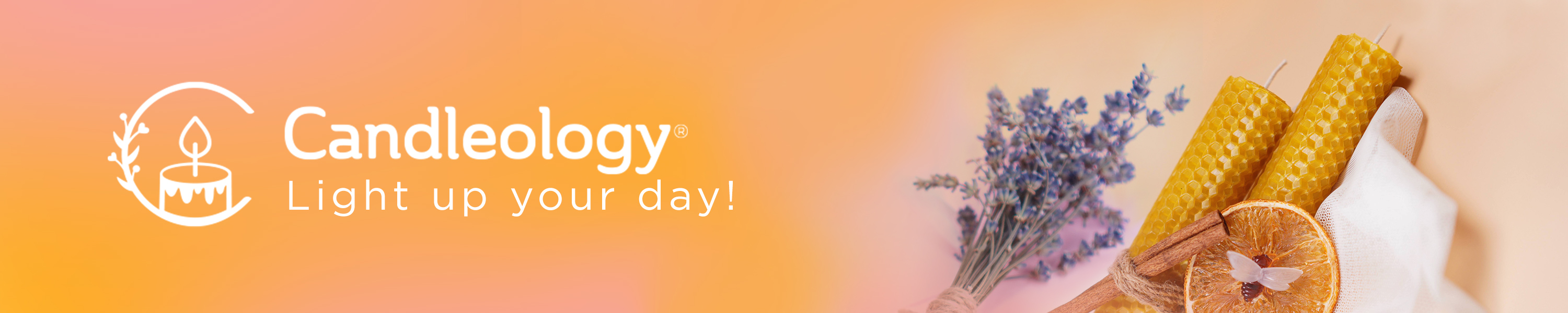 Amazon.com: Candleology