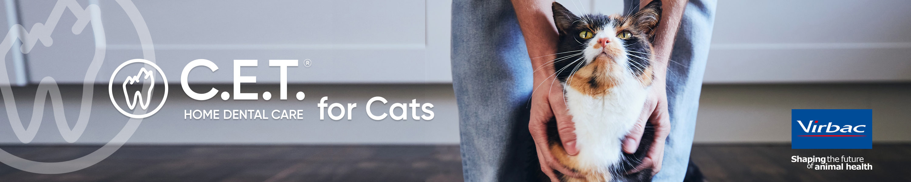 Amazon.com: Virbac: CAT DENTAL