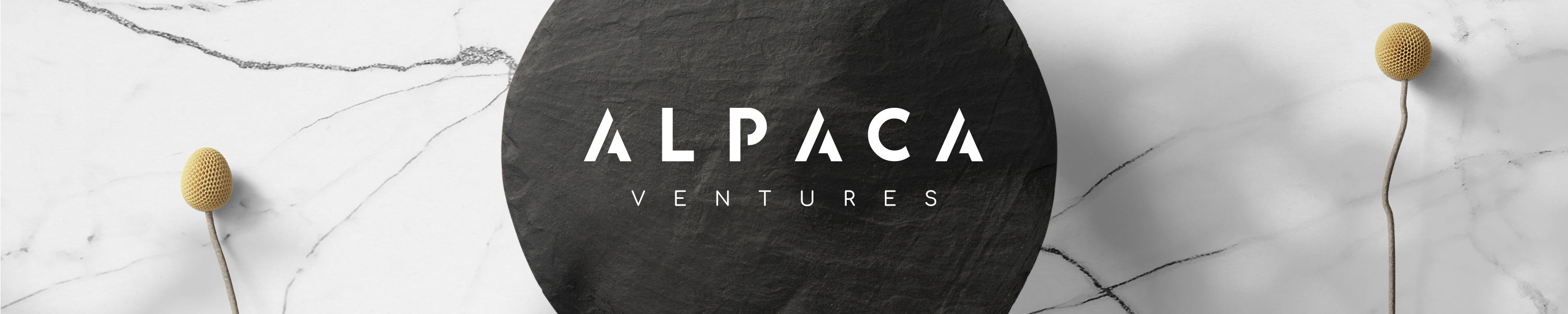 Amazon.com: Alpaca Ventures