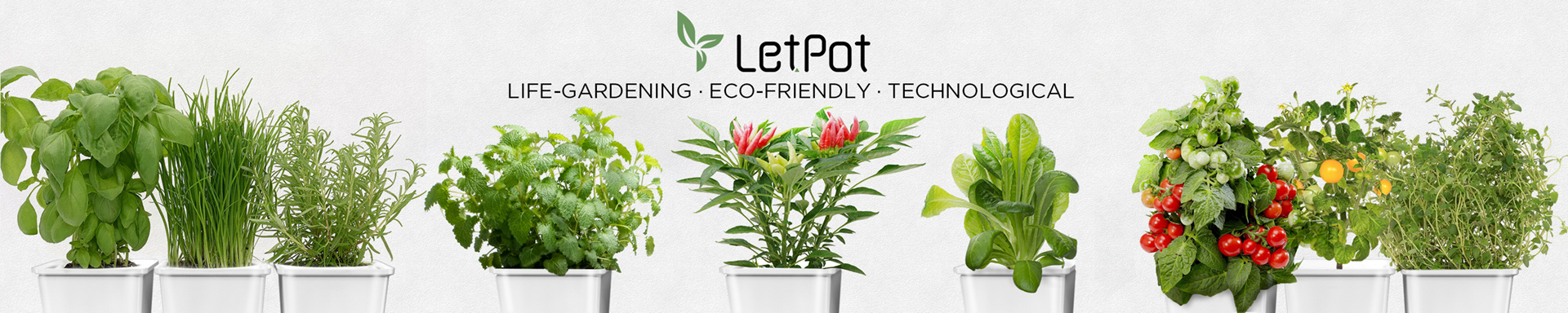 Amazon.com: LetPot: Hydroponic System