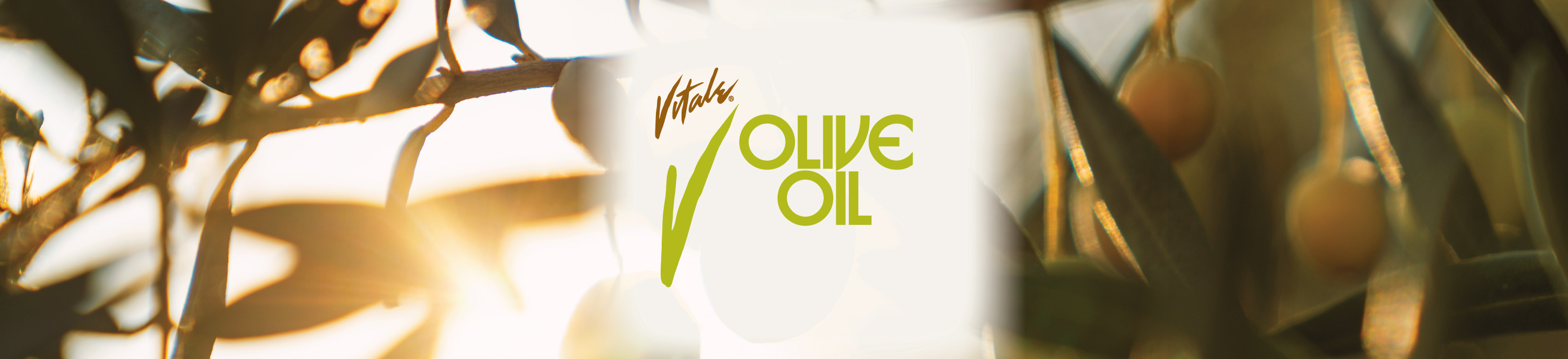Amazon.com: VItale: VItale Olive Oil