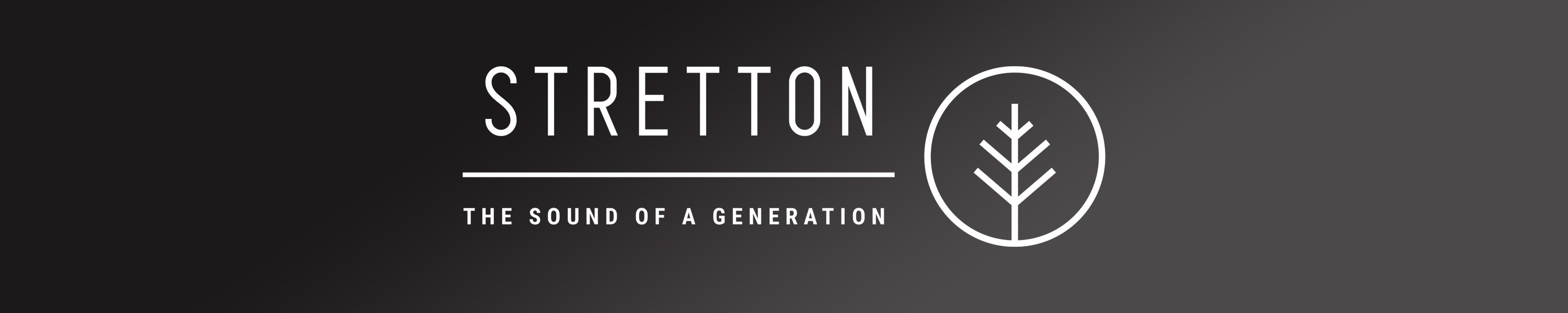 Amazon.com: Stretton Guitars