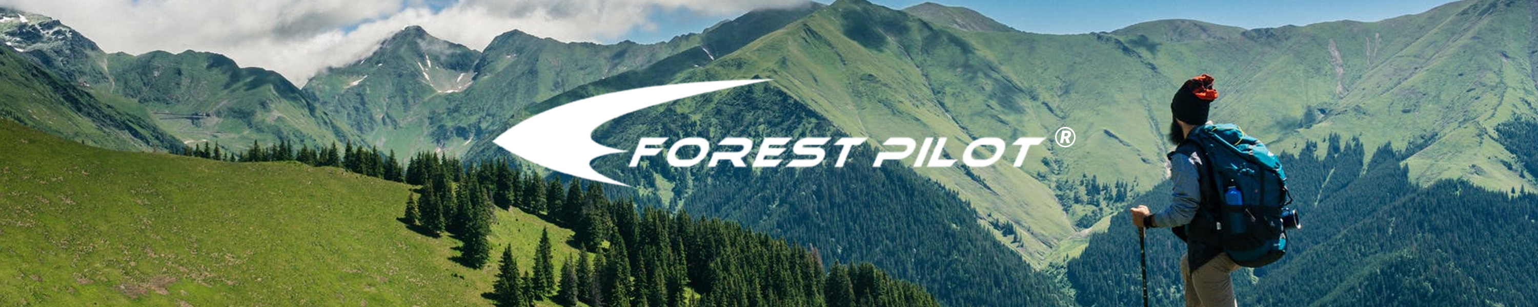 Amazon.com: FOREST PILOT: 3-PCS Detachable Hiking Stick