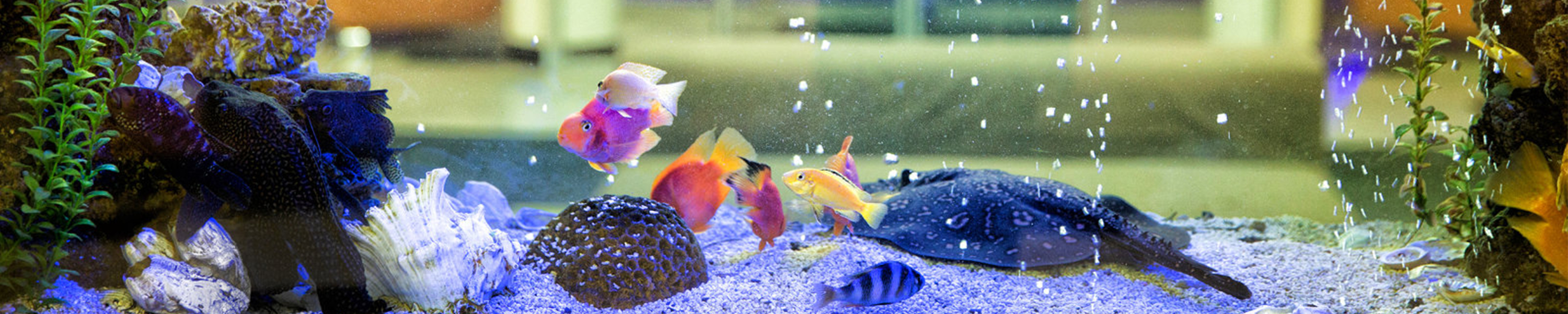 Amazon.com: VARMHUS: NEW ARRIVAL