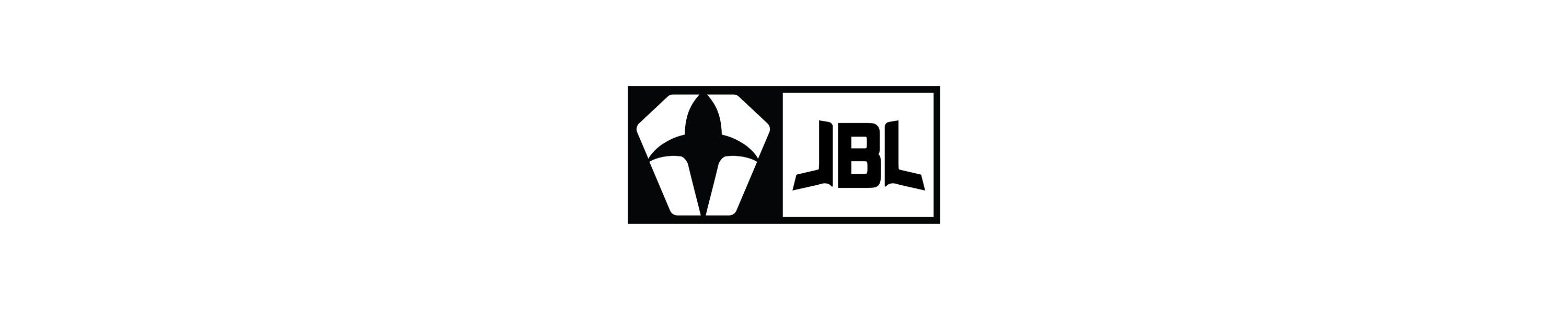 Amazon.com: JBL International: Masks, Snorkels & Fins
