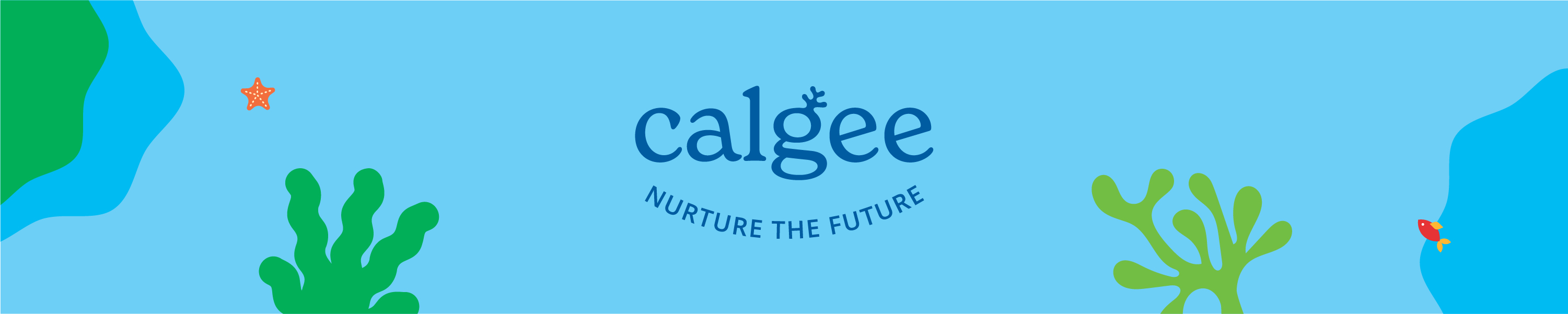Amazon.com: Calgee
