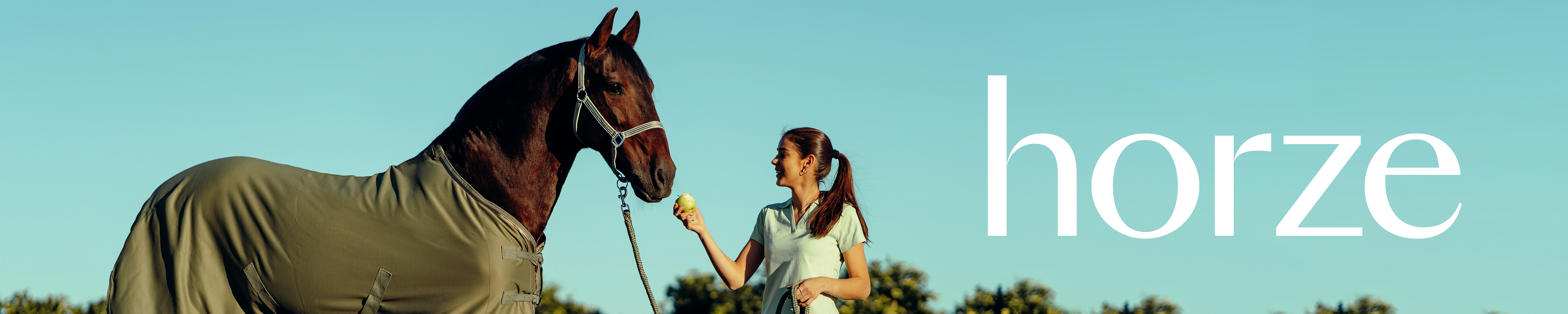 Amazon.com: HORZE