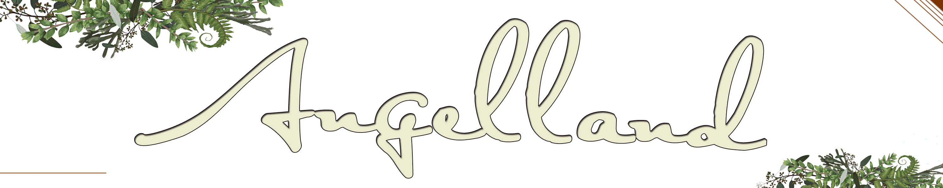 Amazon.com: Angelland: Indoor Planter