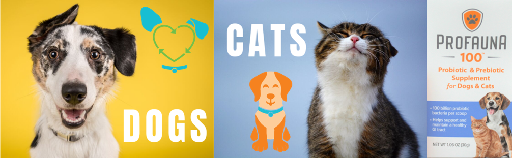 Amazon.com: Profauna Pet Probiotics