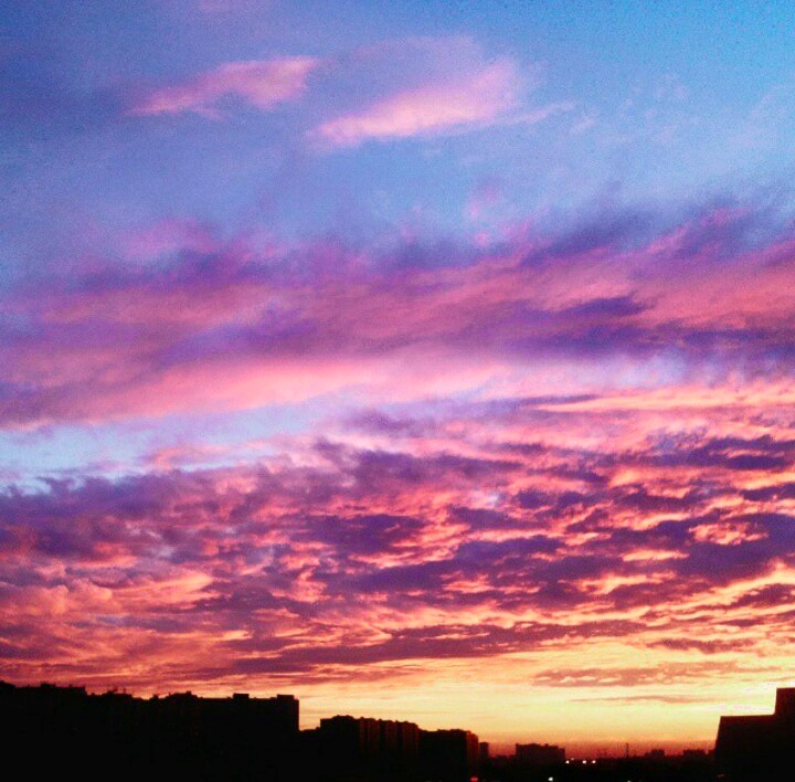 Amazon.com: Games of Colors