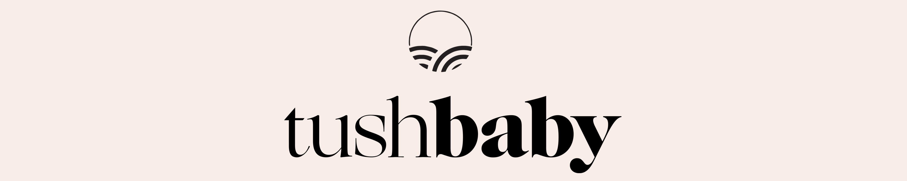 Amazon.com: TushBaby: Tushbaby Hip Carrier