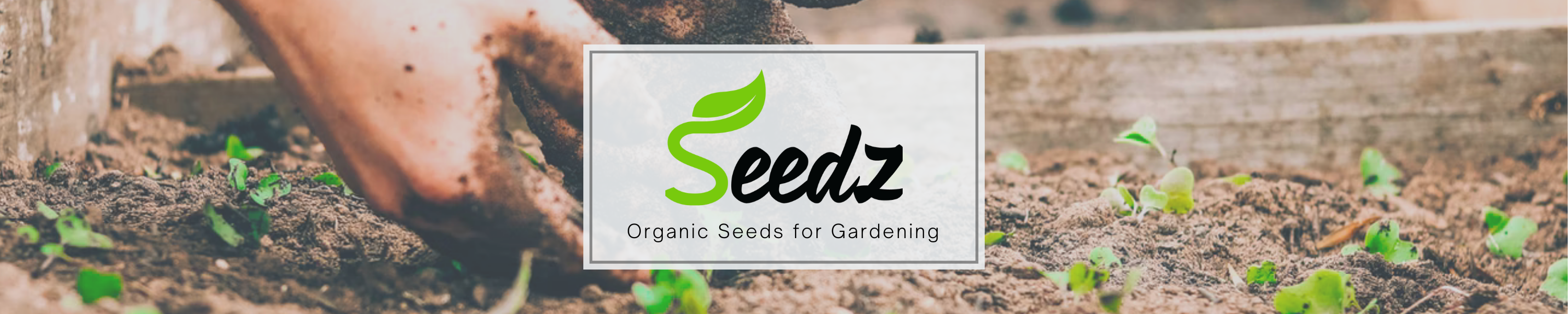 Amazon.com: Seedz