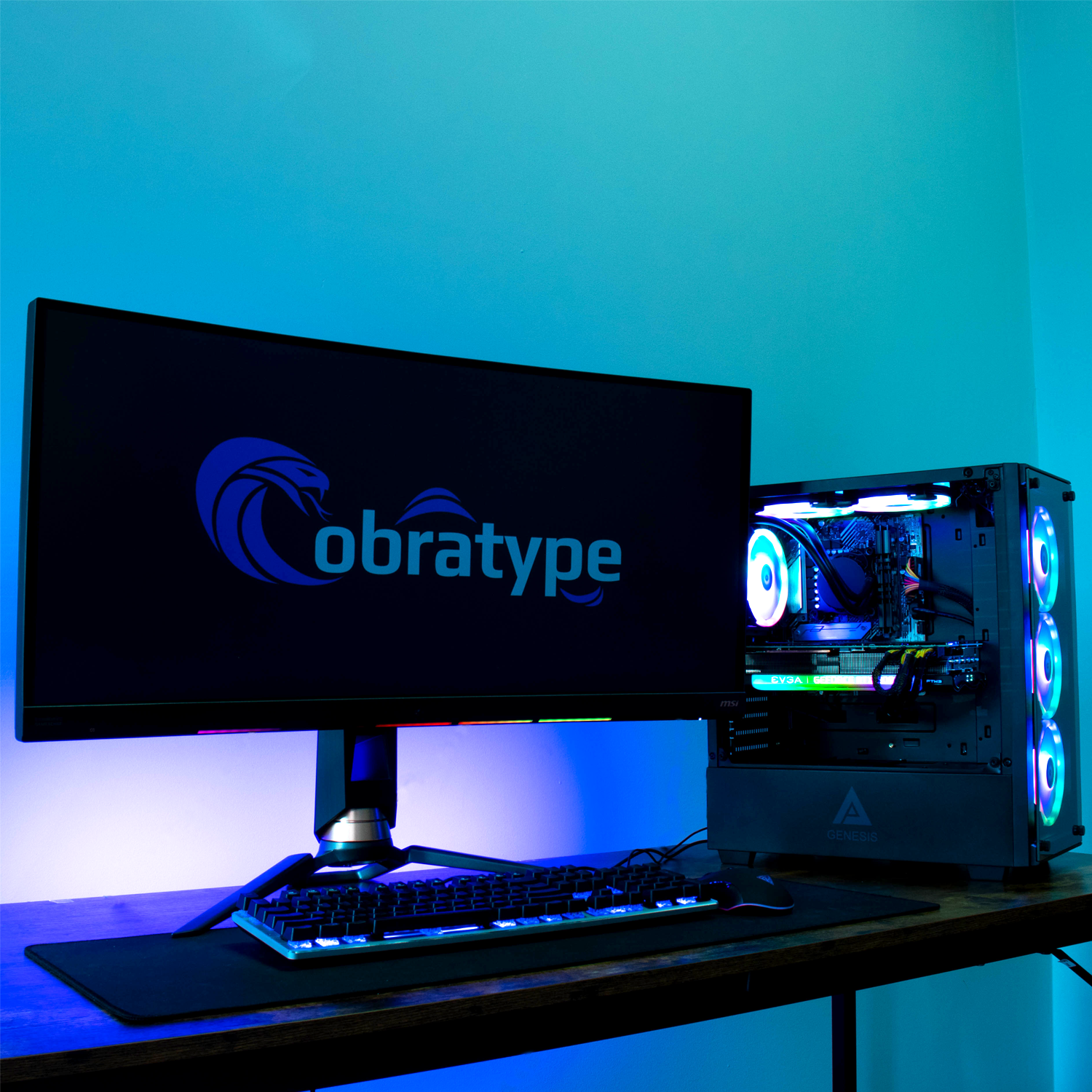 Amazon.com: Cobratype: Ryzen-powered PCs