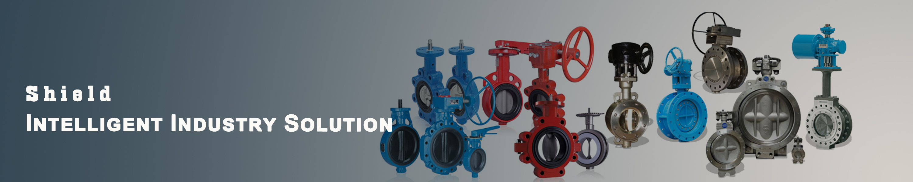 Amazon.com: shield: OTHERS