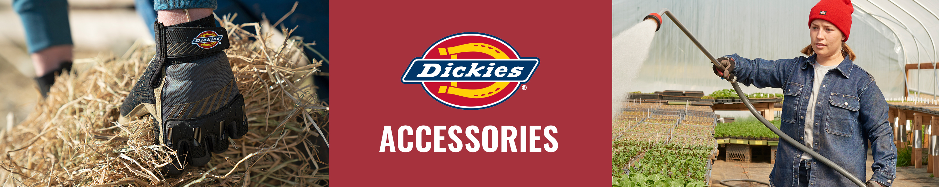Amazon.com: Dickies: Car Accessories