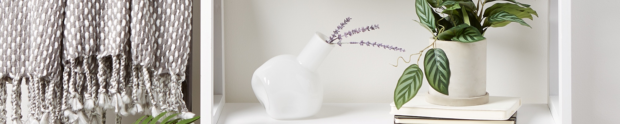 Amazon.com: Accent Plus: FRAMES