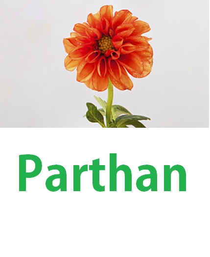 Amazon.com: Parthan