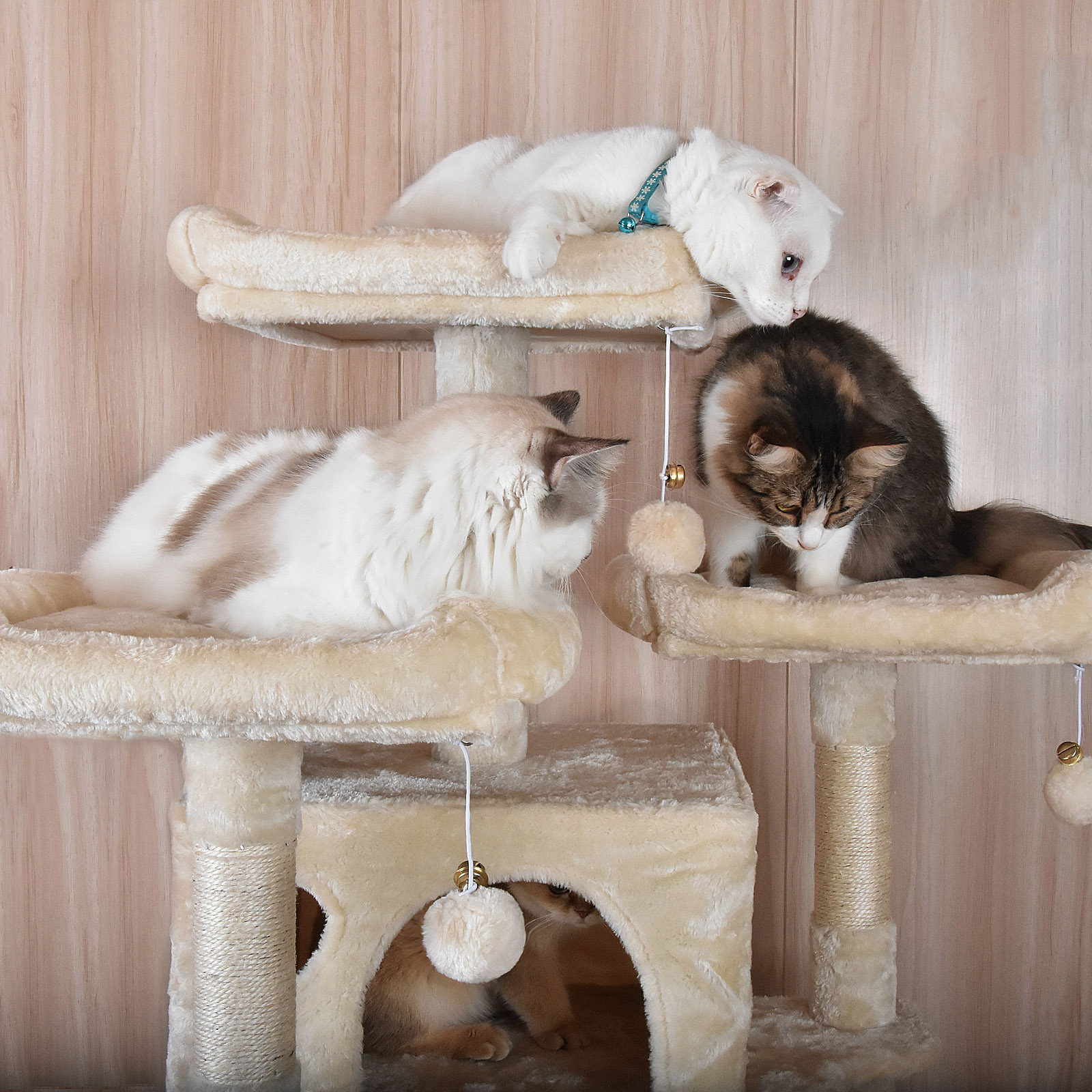 Amazon.com: Innovation for Home Life: Cat Tree