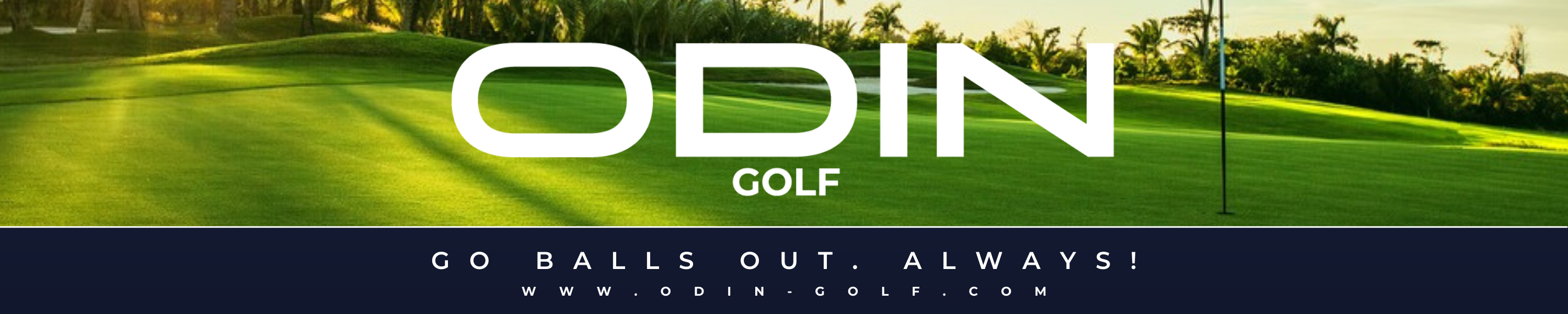 Amazon.com: ODIN Golf