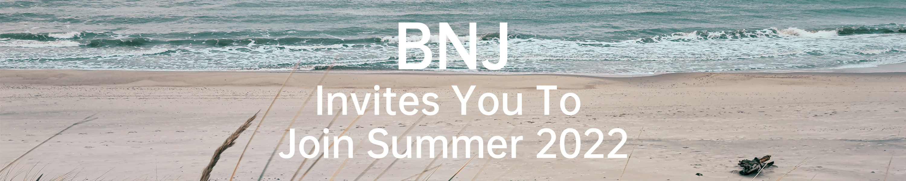 Amazon.com: BNJ