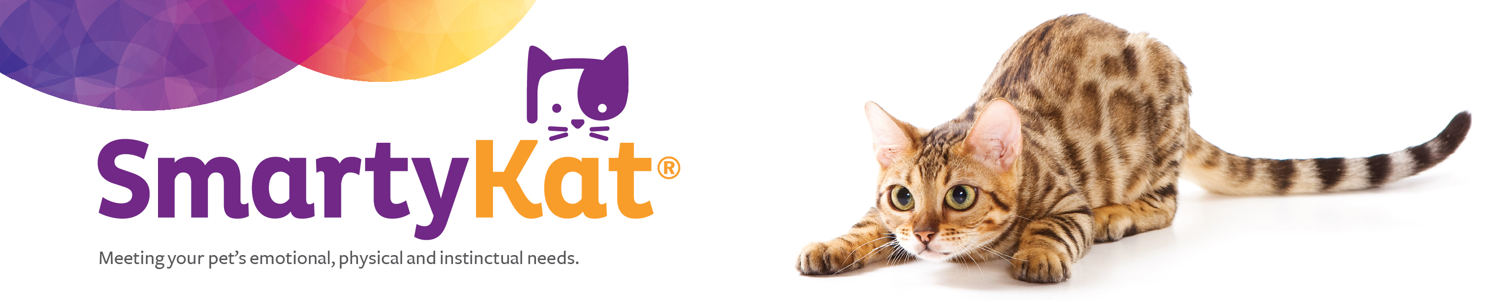 Amazon.com: SmartyKat: Toys