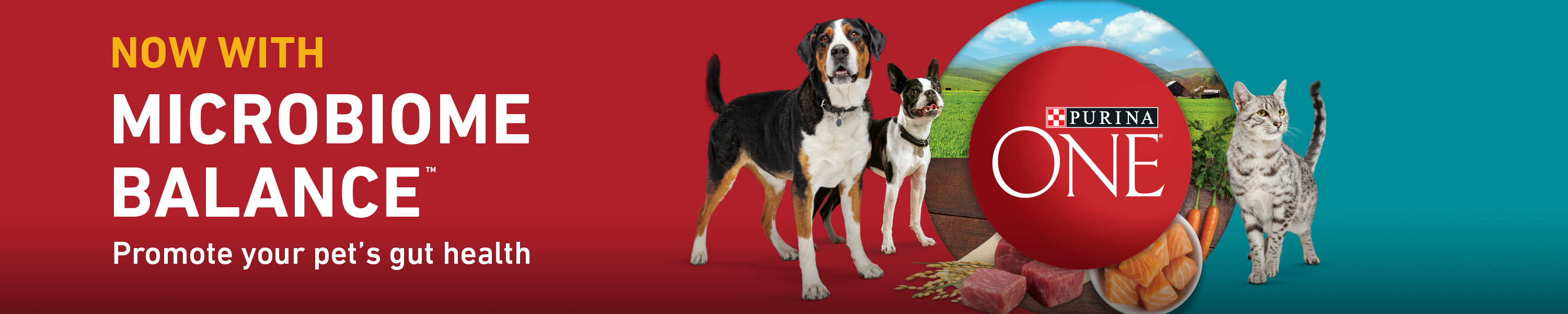 Amazon.com: Purina ONE: Microbiome Balance