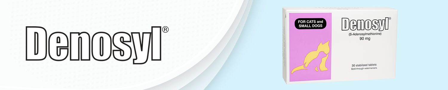 Amazon.com: Nutramax Laboratories: Denosyl® Liver Health Supplement