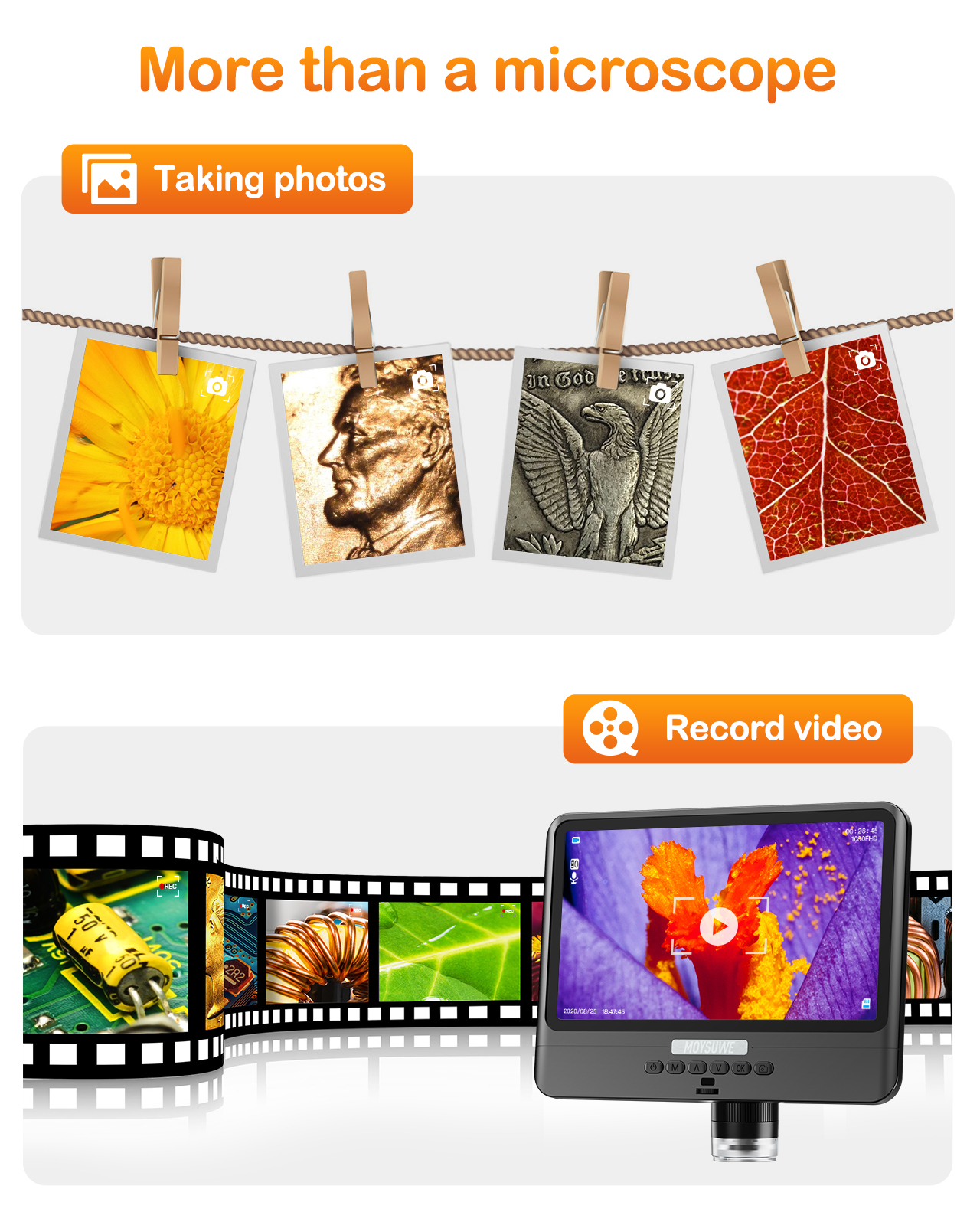 Amazon.com: MOYSUWE DIGITAL MICROSCOPE: 7'' Digital microscope